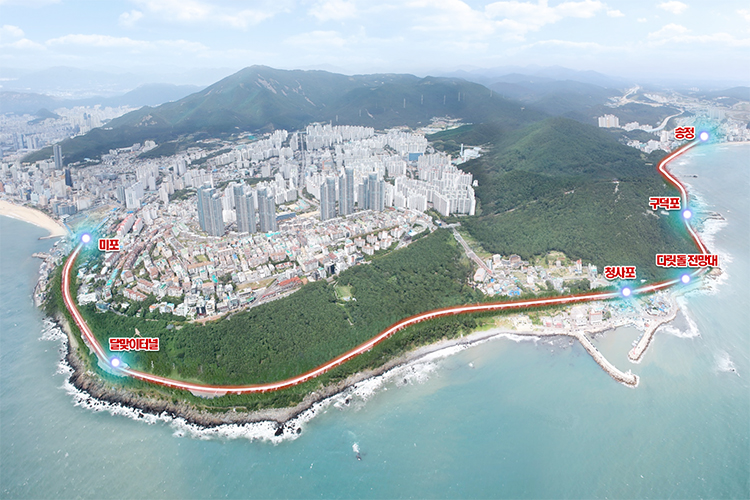 Haeundae Blueline Park Beach Train/ Sky Capsule Boarding Pass - Seoul PASS